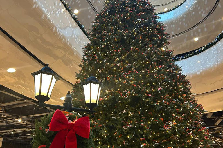 I braved Christmas shopping in the Bullring - and these two things ...