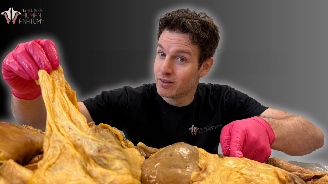 The Truth About Body Fat & How to Control It