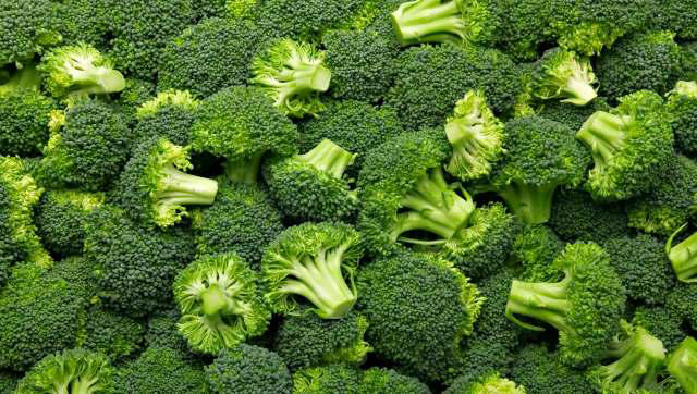 Researchers create hybrid broccoli that solves major issue in US food ...