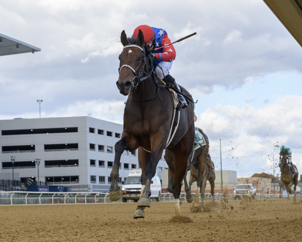 Kentucky Oaks points on the line in Aqueduct's Busanda