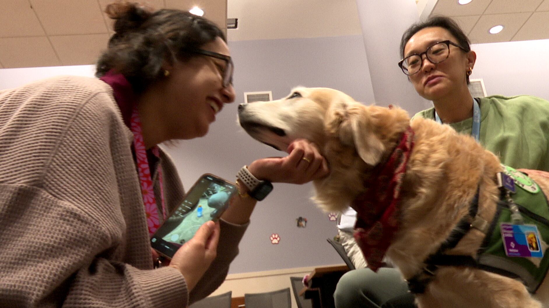 Wellstar Children’s Hospital facility dog Nugget retires after 8 years