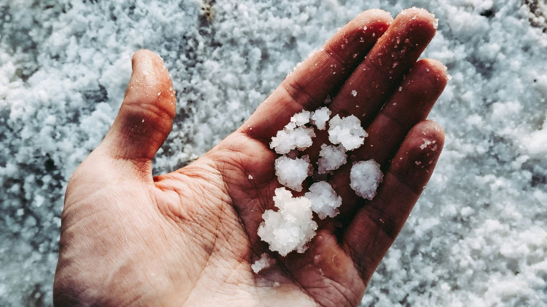 10 Reasons People Care About Salt Types & The 10 Most Popular Kinds