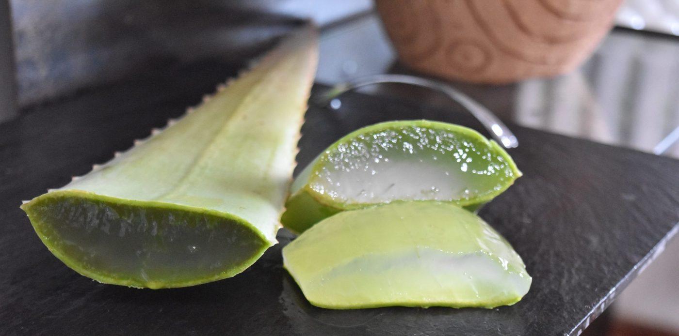 Guía completa para extraer el gel del aloe vera y sus beneficios