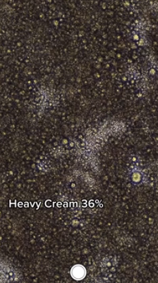 Under the Microscope: Cow Milk vs Oat Milk vs Almond Milk