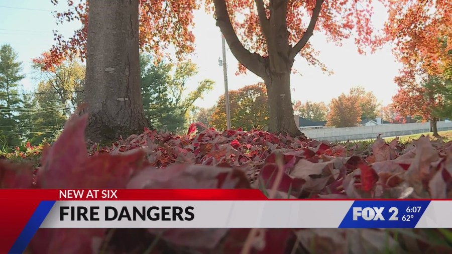 Fall fire hazard: Parking on leaves can ignite dangerous blaze