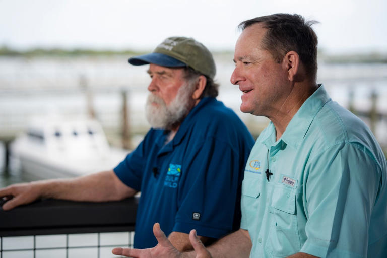 How America's fisheries rebounded from collapse and over-regulation