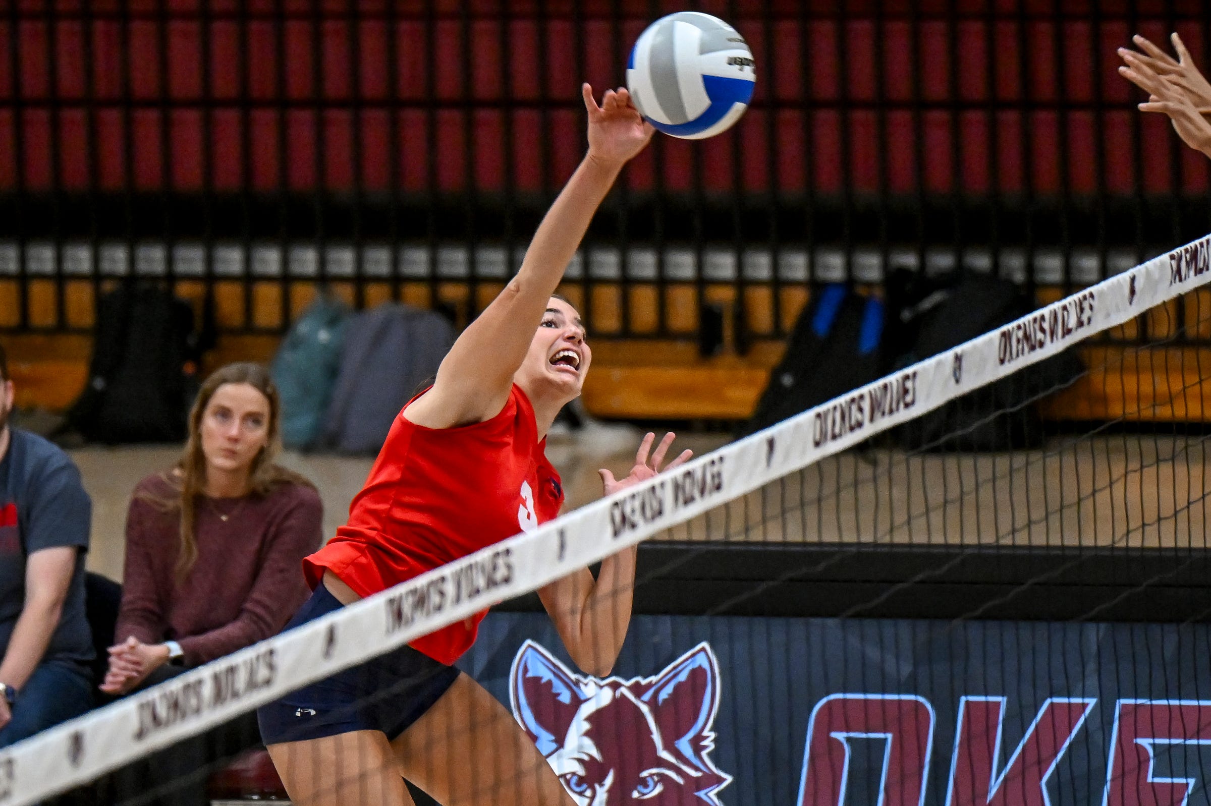Once only focused on softball, Delaney Cutter now becoming force for ...