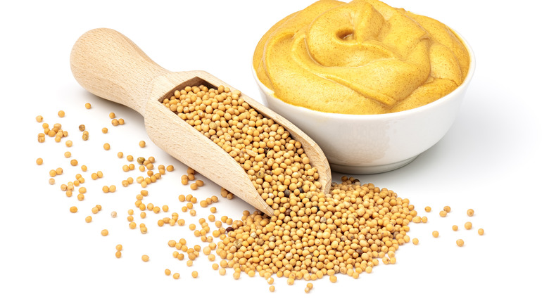 A Guide To All The Different Kinds Of Mustard