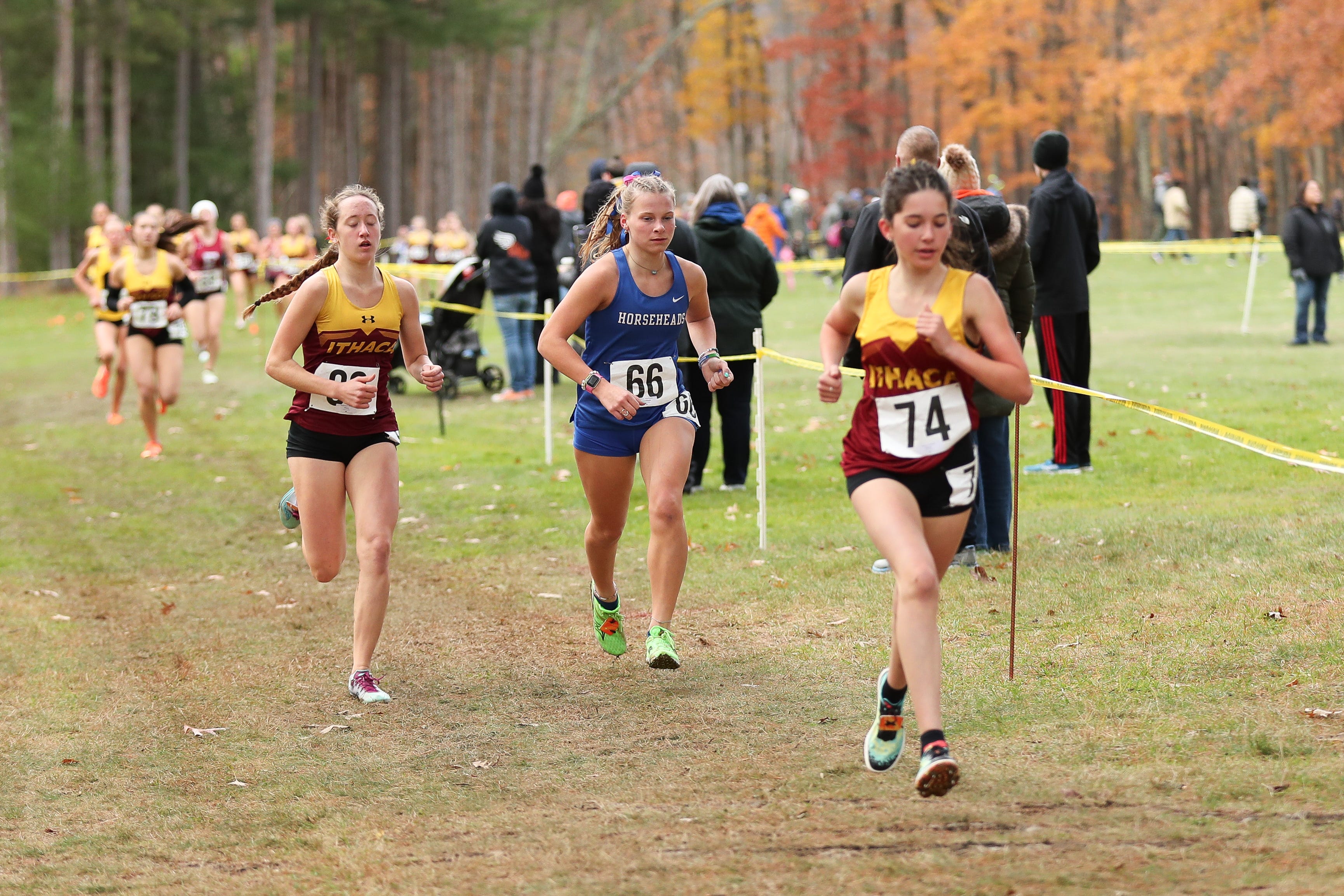 Bercuvitz becomes three-time Section 4 girls XC champ as Ithaca ends ...