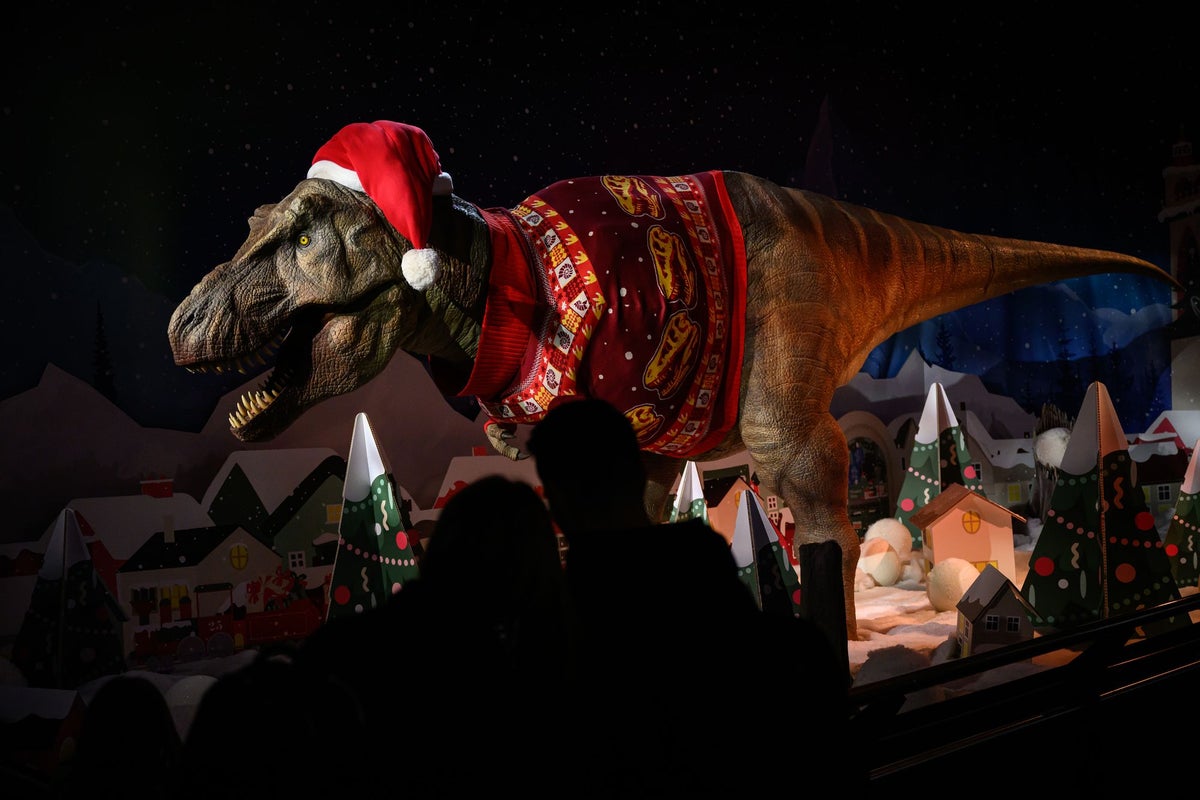 Natural History Museum creates giant Christmas jumper for its T. Rex