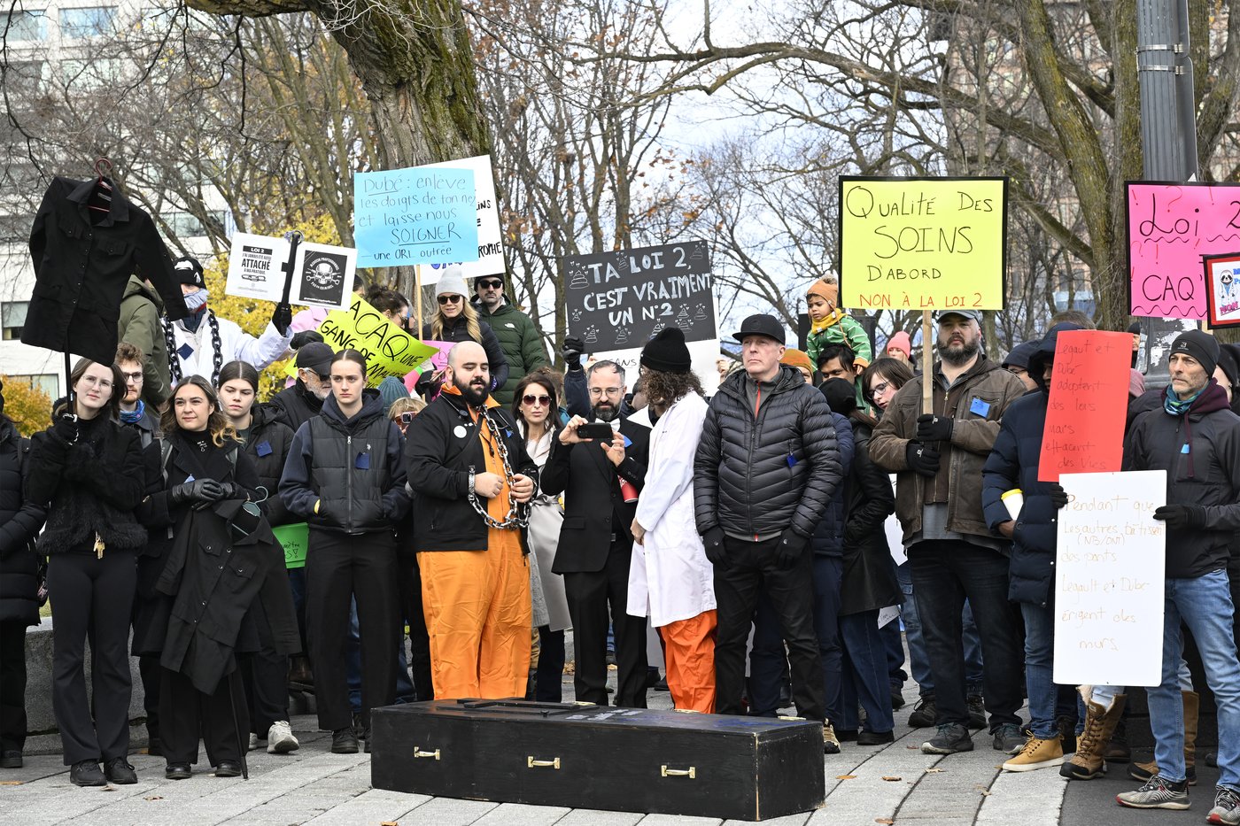 Loi 2: les spécialistes demandent à la Cour de confirmer l ...