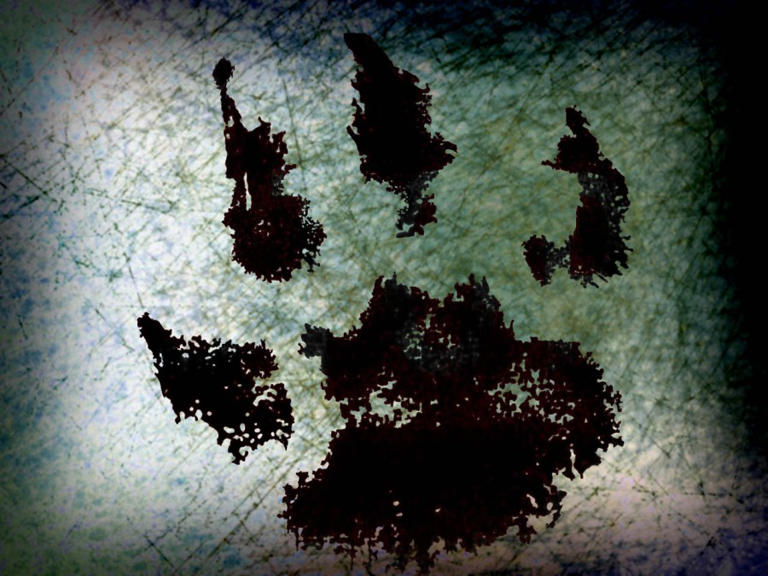 Centre County woman charged after dumping 5 dogs, 2 still missing ...