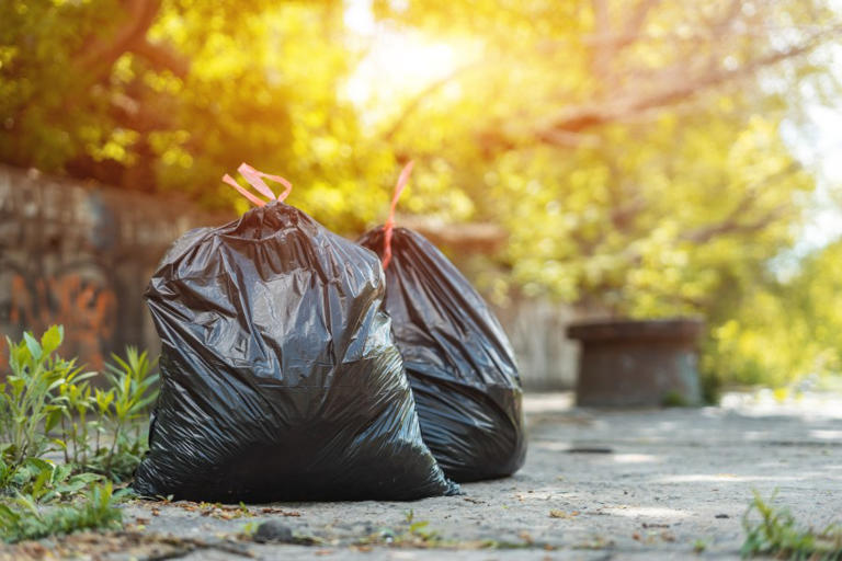 Looking to get rid of some trash? Fresno to host two free events