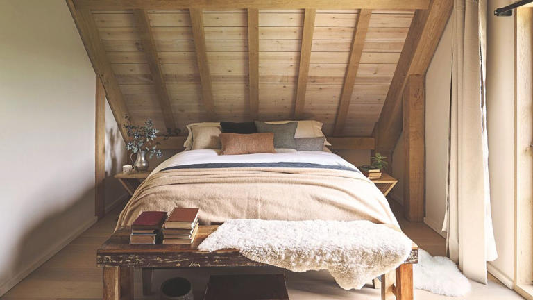 Attic Mold Removal: 5 Spore Warning Signs and a DIY Quick Fix