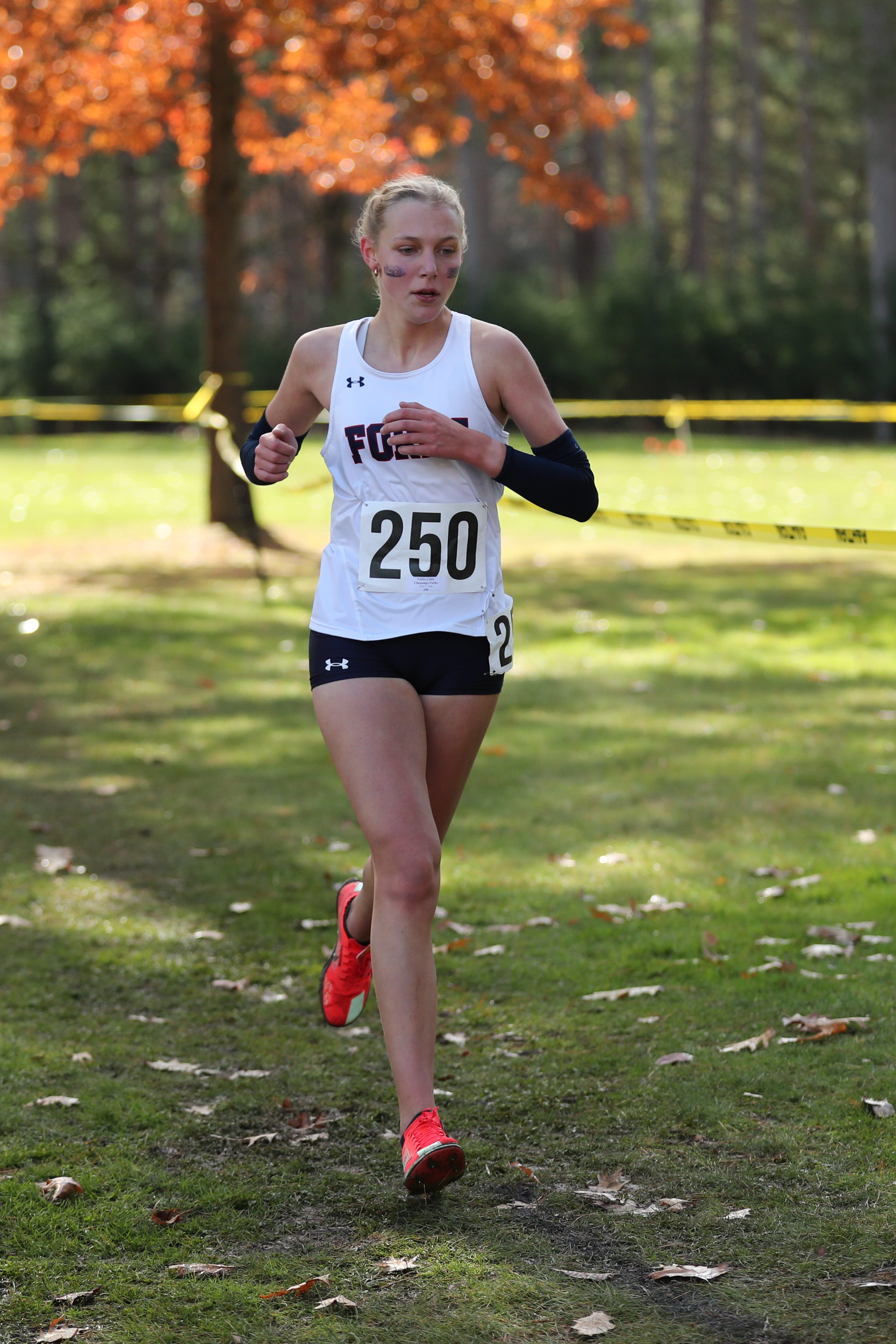 Bercuvitz becomes three-time Section 4 girls XC champ as Ithaca ends ...