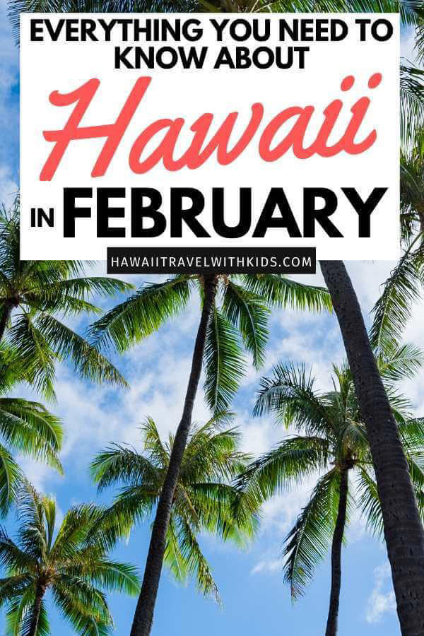 Hawaii in February: Peak Whale Season, Perfect Weather & Fewer Crowds ...