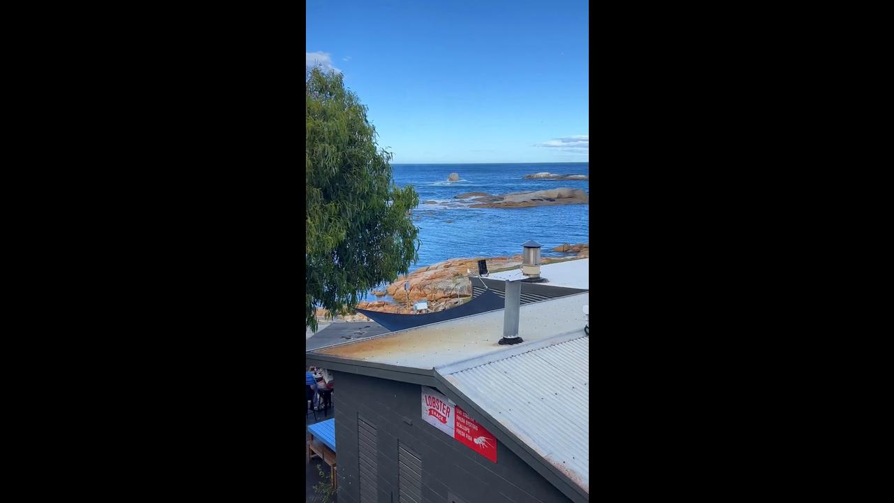 Bicheno’s Lobster Shack Serves Ocean-Fresh Shellfish In Tasmania, Australia