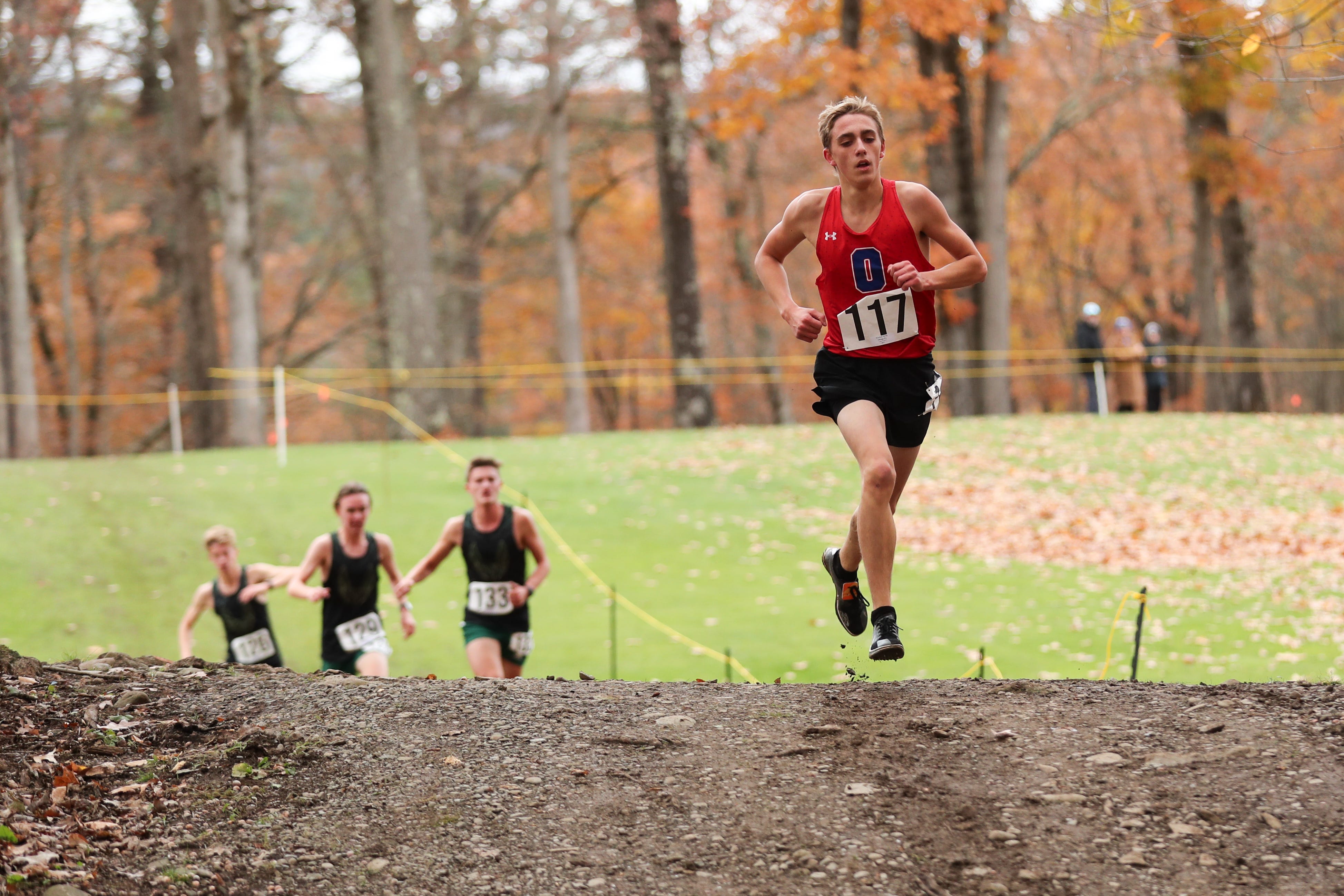 Section 4 boys XC meet includes team triumphs for Corning, Vestal ...