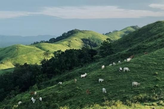 Wisata Bukit Sapu Angin: Lokasi, Jam Buka, dan Spot Foto