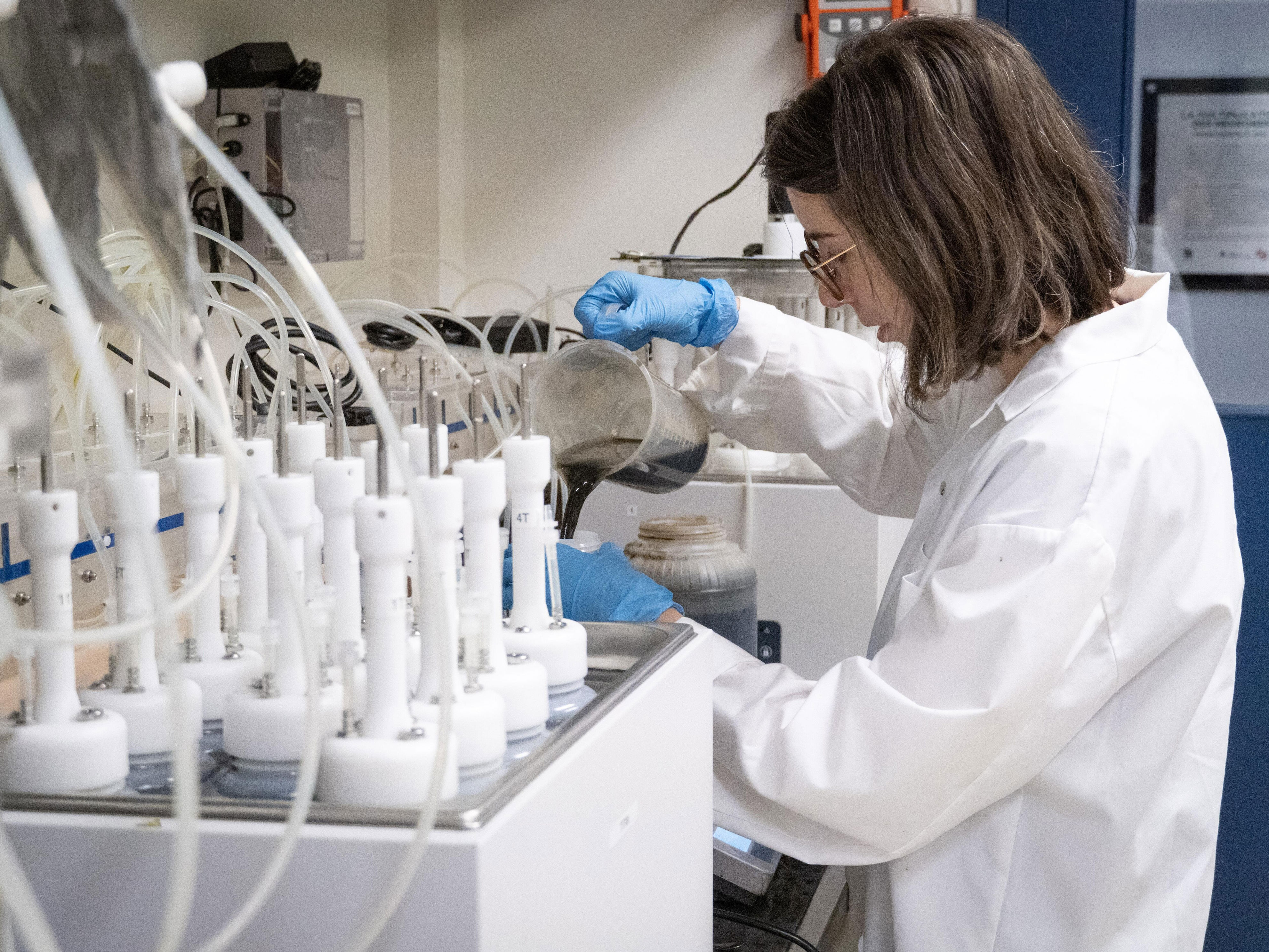Des plantes envahissantes valorisées par la biométhanisation