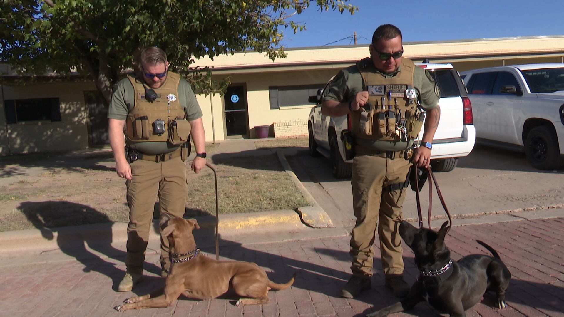 Crosby County Sheriff’s Office welcomes two new K-9 deputies