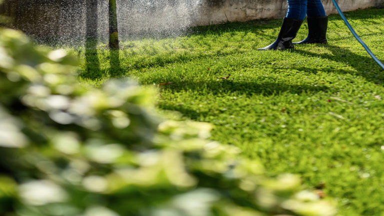 Add This Quick Task Before Edging The Lawn For An Easier Trim With Less ...