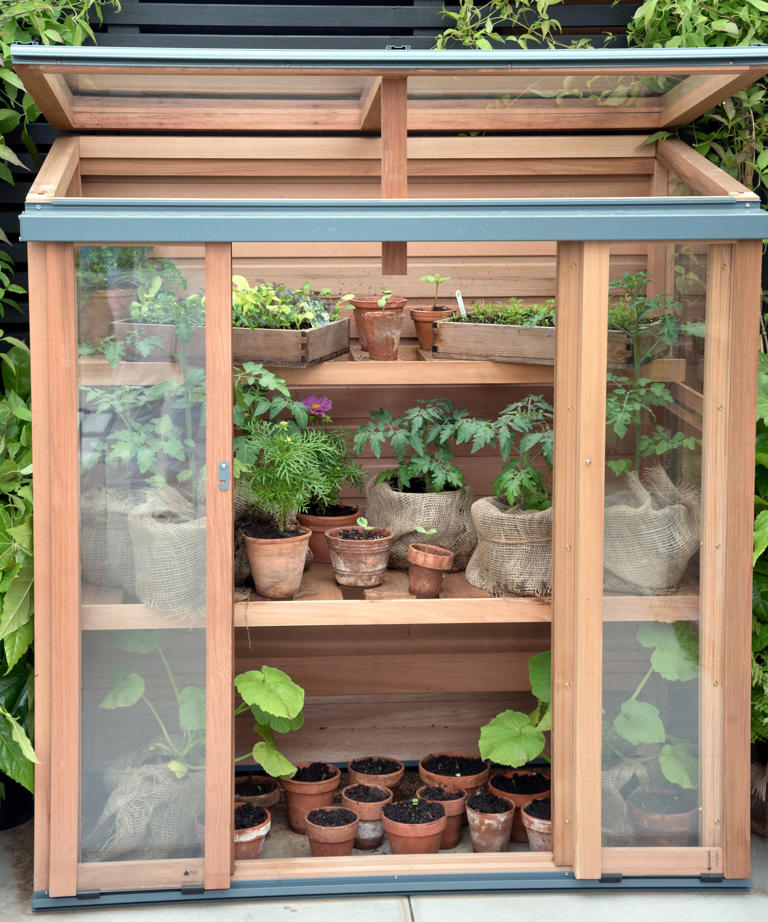 Now is the time to install a cold frame: 5 types to choose from