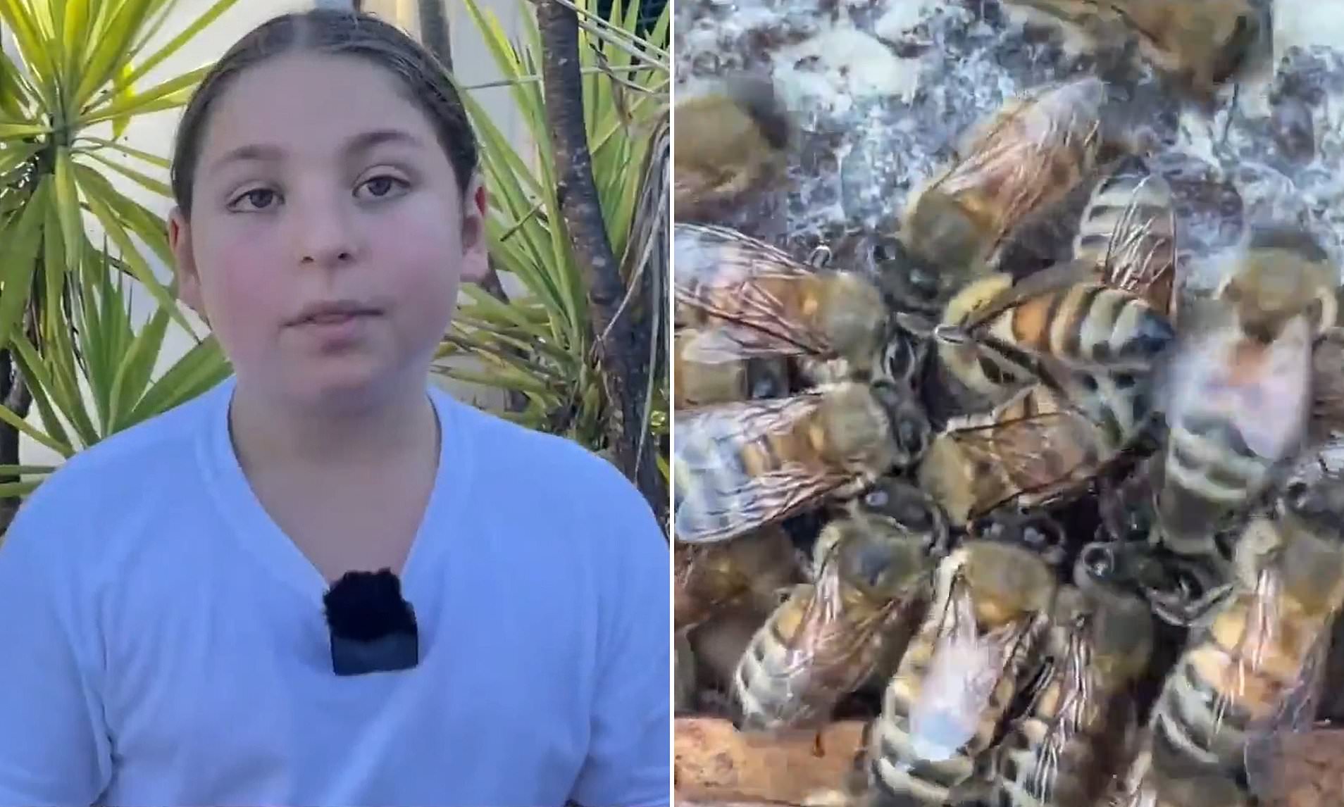 Beekeeper, 10, wins fight against city after it tried to force him to ...