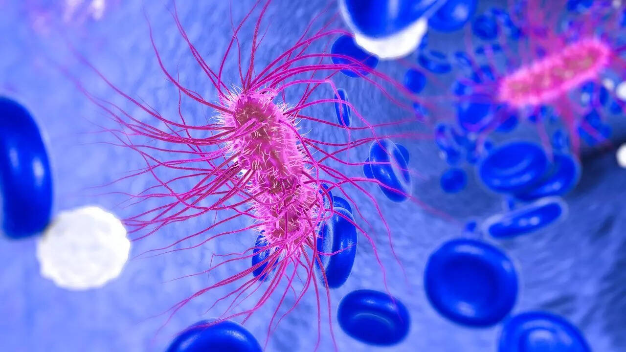 E. coli spreads as fast as swine flu: What this means for hygiene and ...