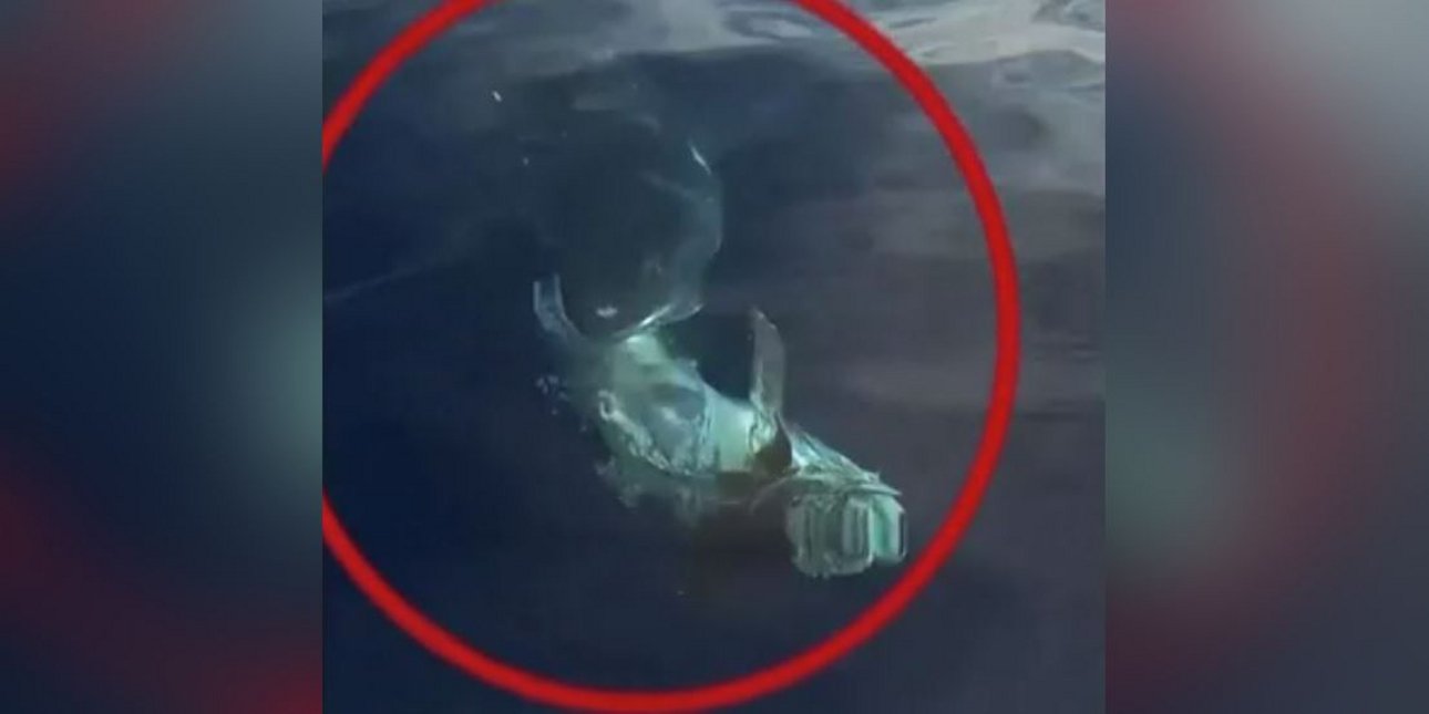 Τεράστιος λευκός καρχαρίας εντοπίστηκε στα ανοιχτά της Καρπάθου -«Είναι ...