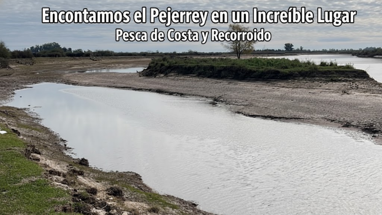 Encontramos el Pejerrey en un Increíble Lugar: Pesca de Costa y Recorrido