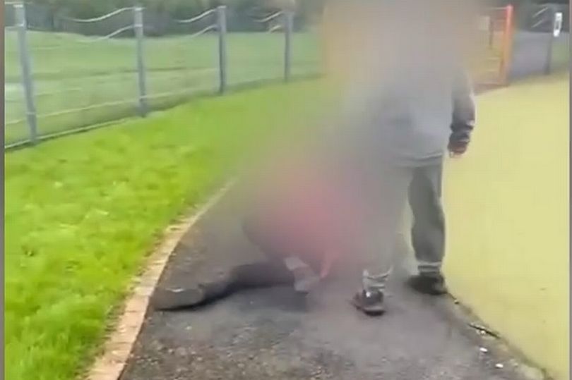 'Vulnerable' boy, 11, made to kiss the feet of 'bullies' to stop them ...