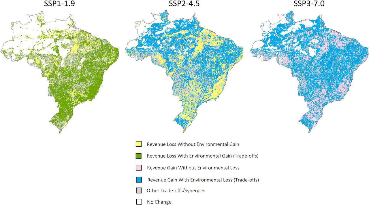 Agriculture in Brazil: How land-use choices affect biodiversity and the ...