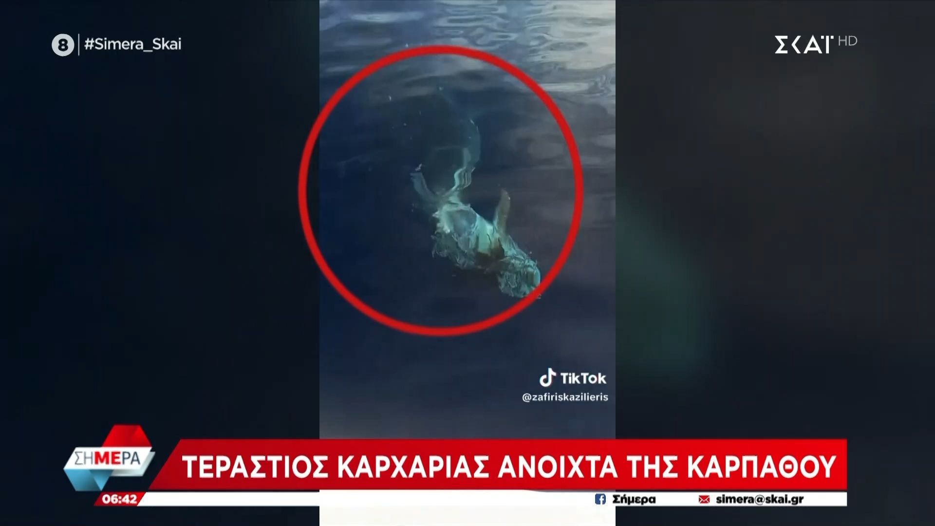 Τεράστιος Καρχαρίας ανοιχτά της Καρπάθου