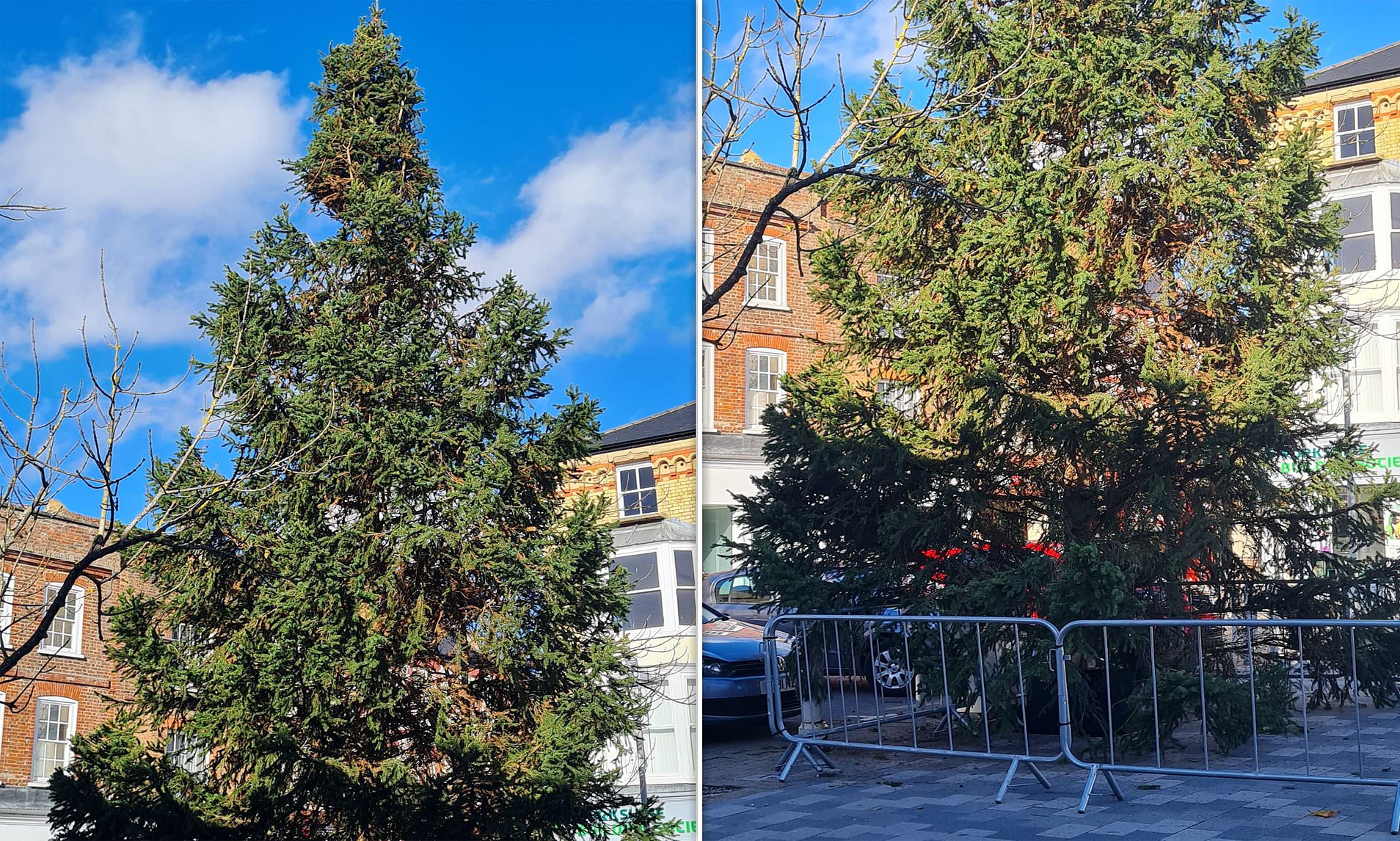Residents hit out at 'droopy and browning' Christmas tree dubbed a ...