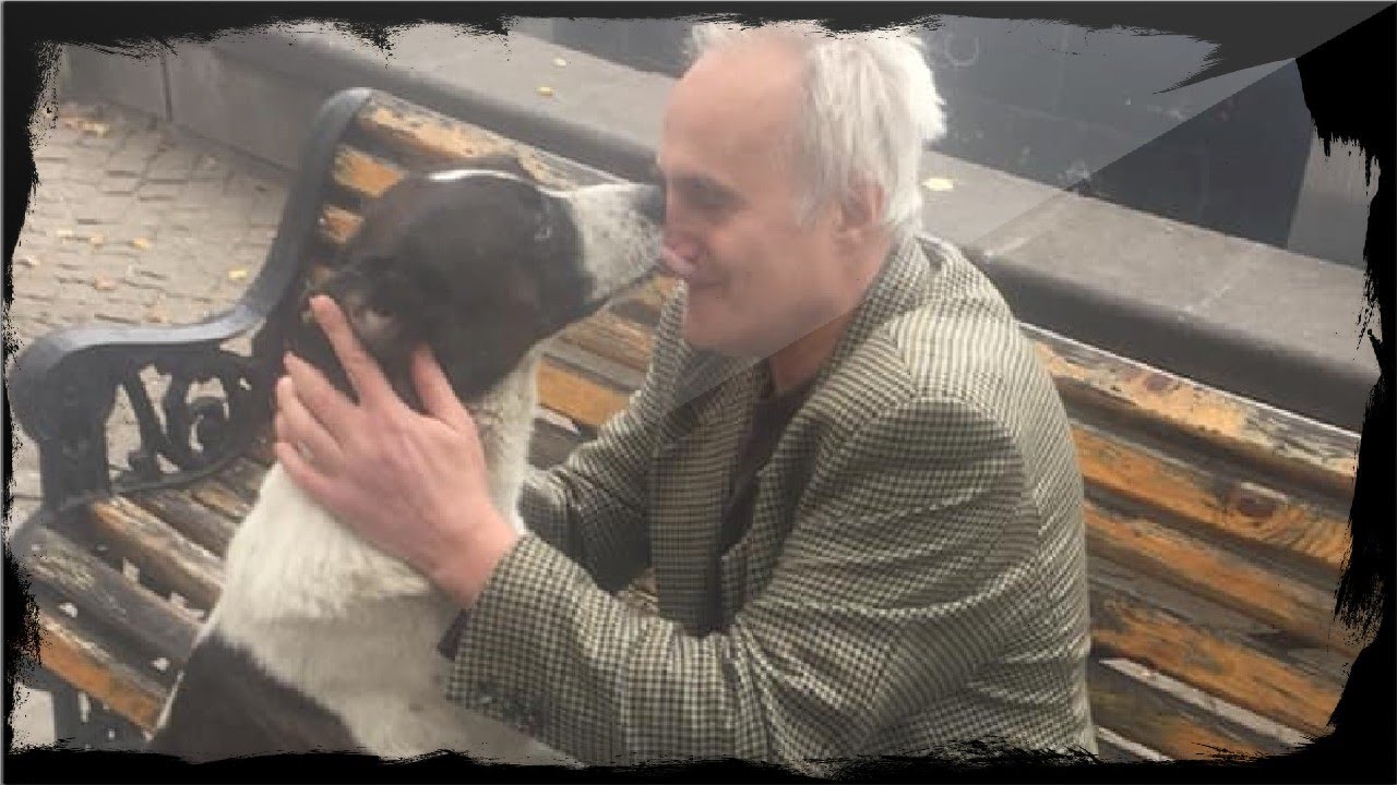 Lost Dog Bursts Into Tears of Joy Reuniting With His Dad After Three Years