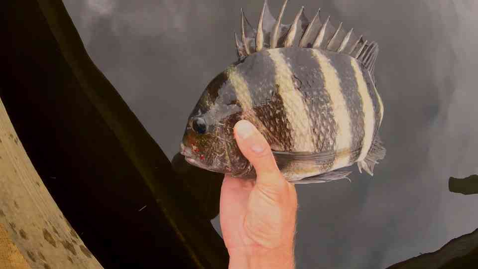 This bait works great for dock fishing