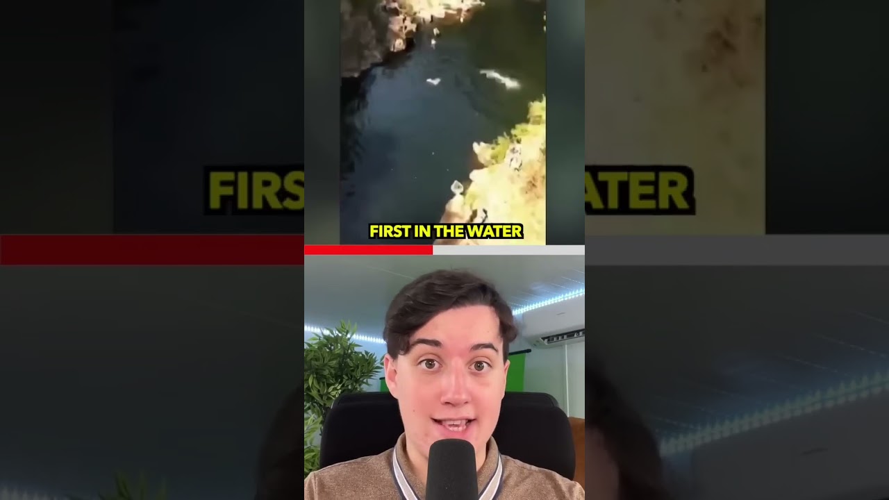 When a girl was jailed for pushing a friend off a bridge