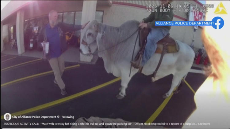 Police body camera video: ‘Suspicious activity call’ of man riding bull ...