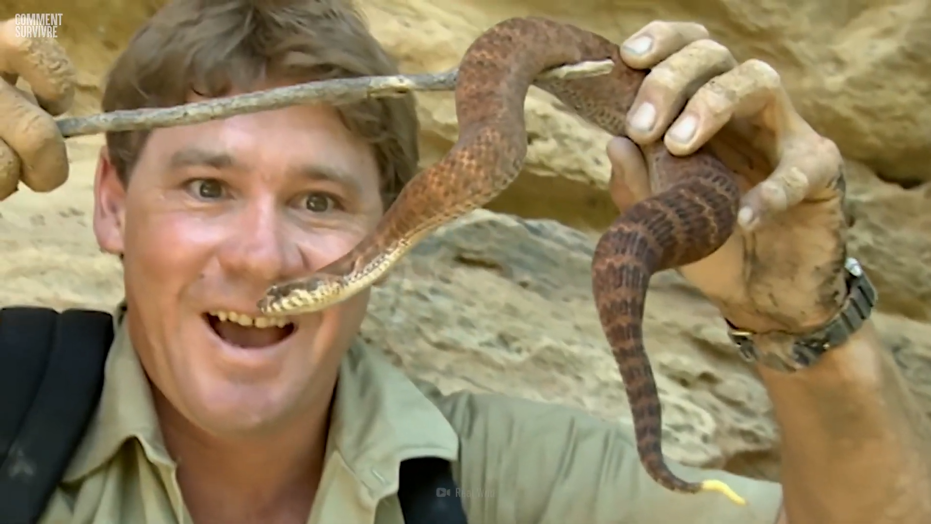 Pourquoi un simple geste peut aggraver une morsure de serpent