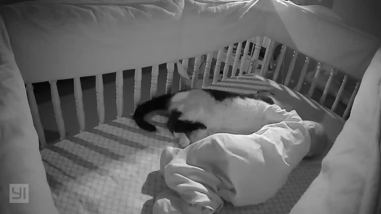Cat Cuddles With Baby in Crib