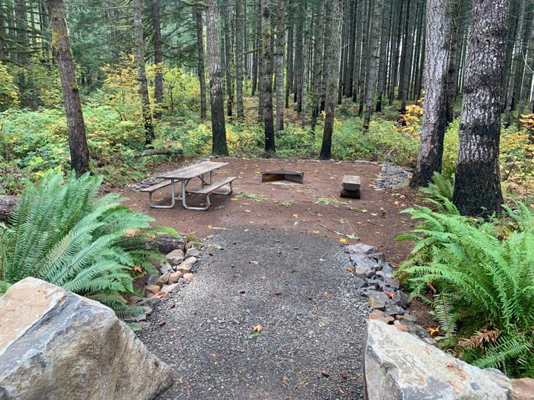 Monument Peak Trail system offers easy access to off-season hiking near ...
