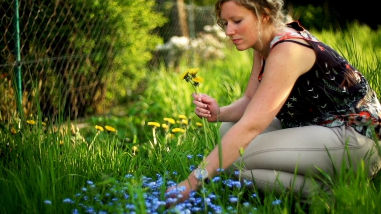 Should you even bother with small scale rewilding in Britain?