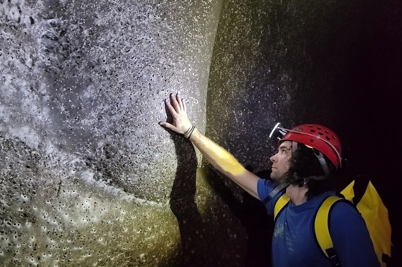 World's biggest spider web discovered in cave with over 110,000 creepy ...