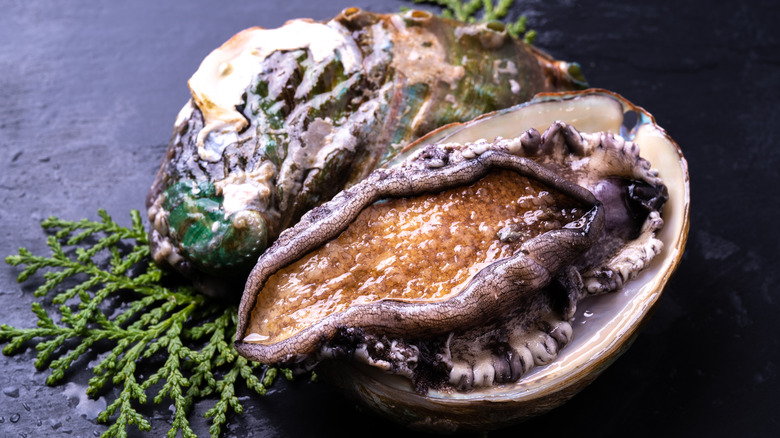 What Exactly Is Abalone And How Do You Eat It?