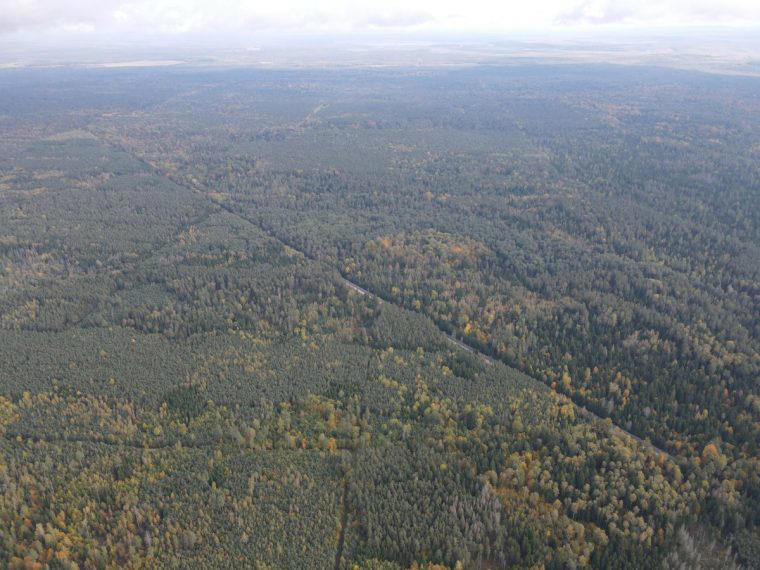 Inside the London-sized forest used by migrants to enter the EU as they ...