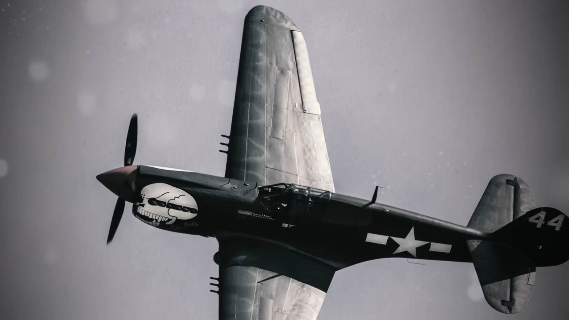 Too slow, too heavy... too deadly? The P-40’s Pacific proving ground