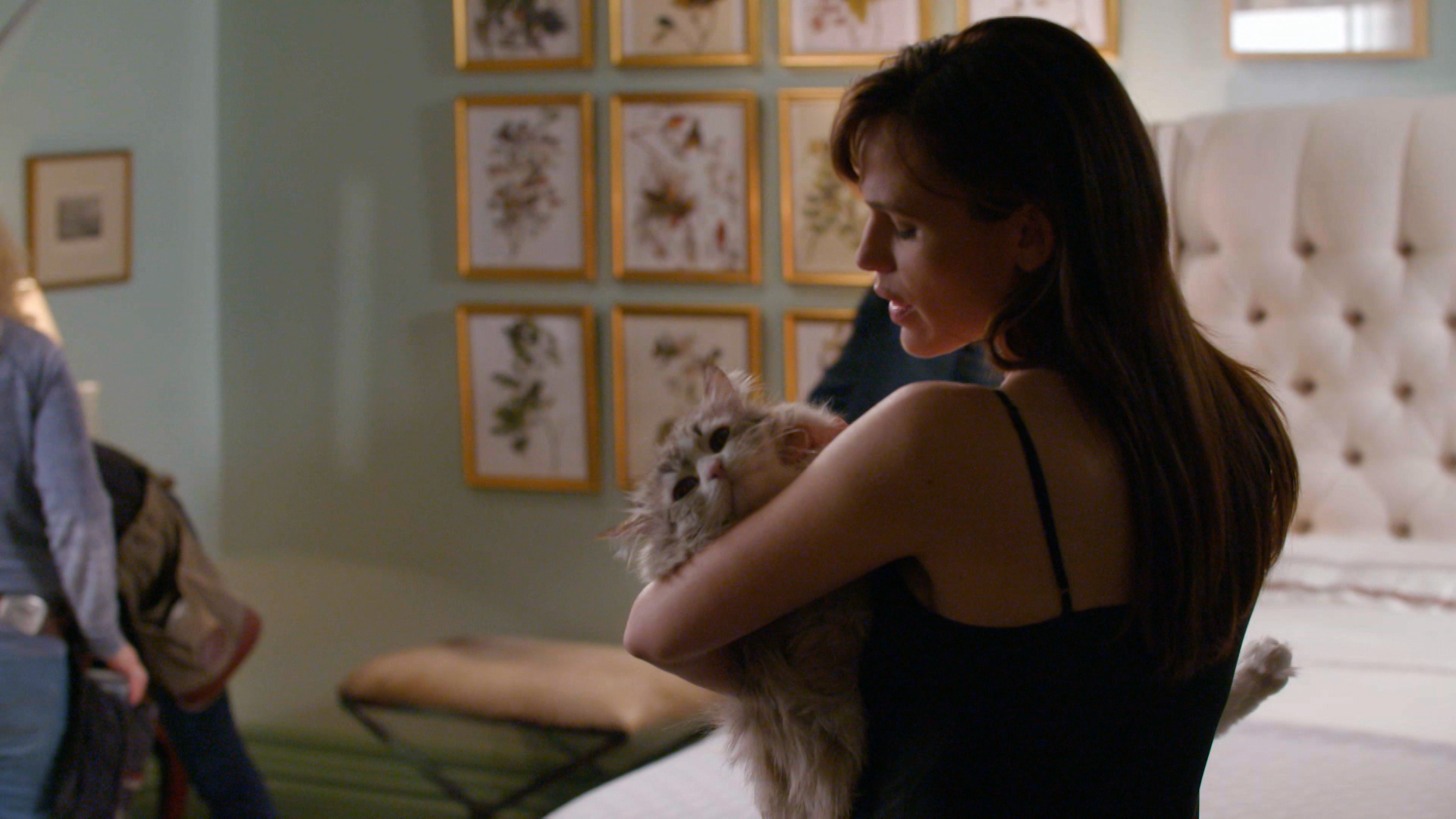 The Rise of the Modern Cat Lady: From Meme to Mainstream Icon