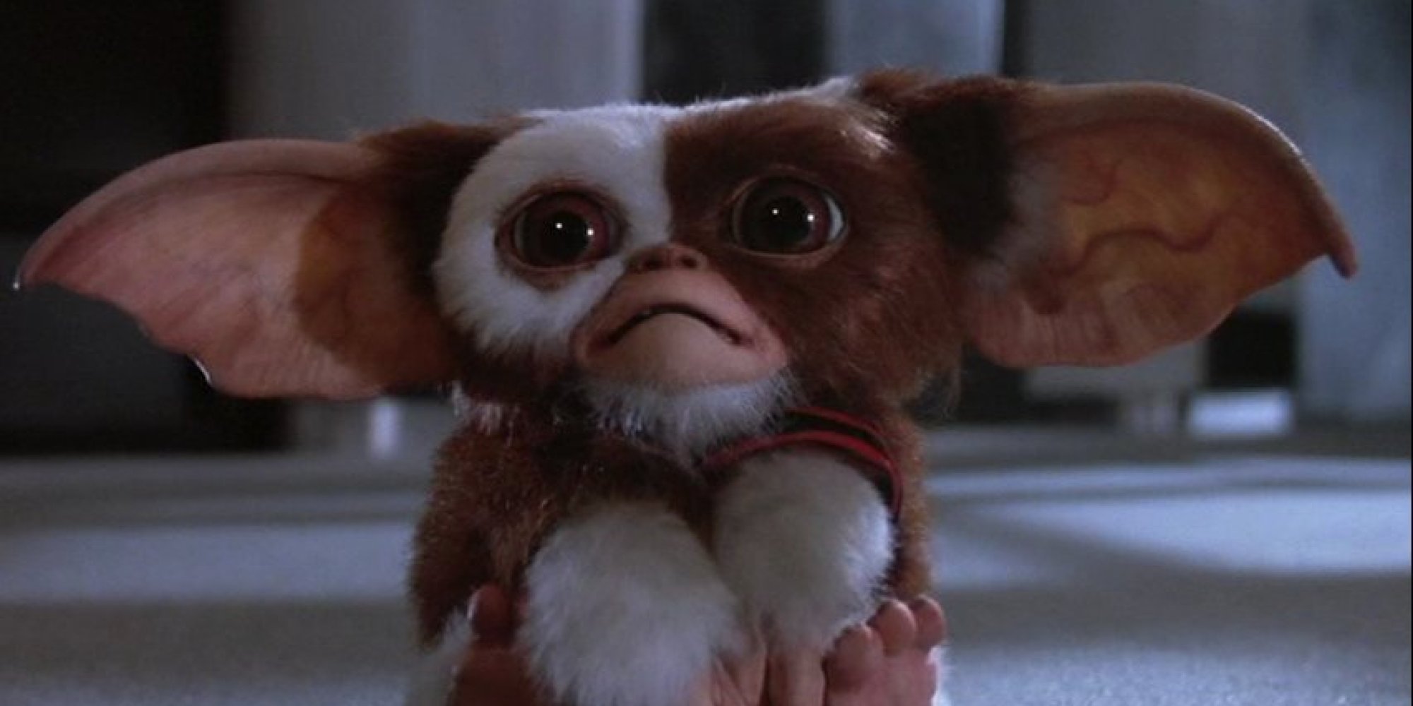 Gremlins 3 Is Official! Chris Columbus Directing, Steven Spielberg ...