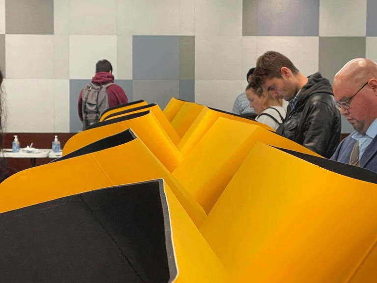 CA's Nov. 4 Election: What's On The Ballot, How To Cast Your Vote In ...